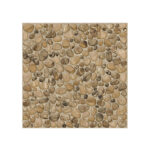 AMAZONAS – Hispacensa