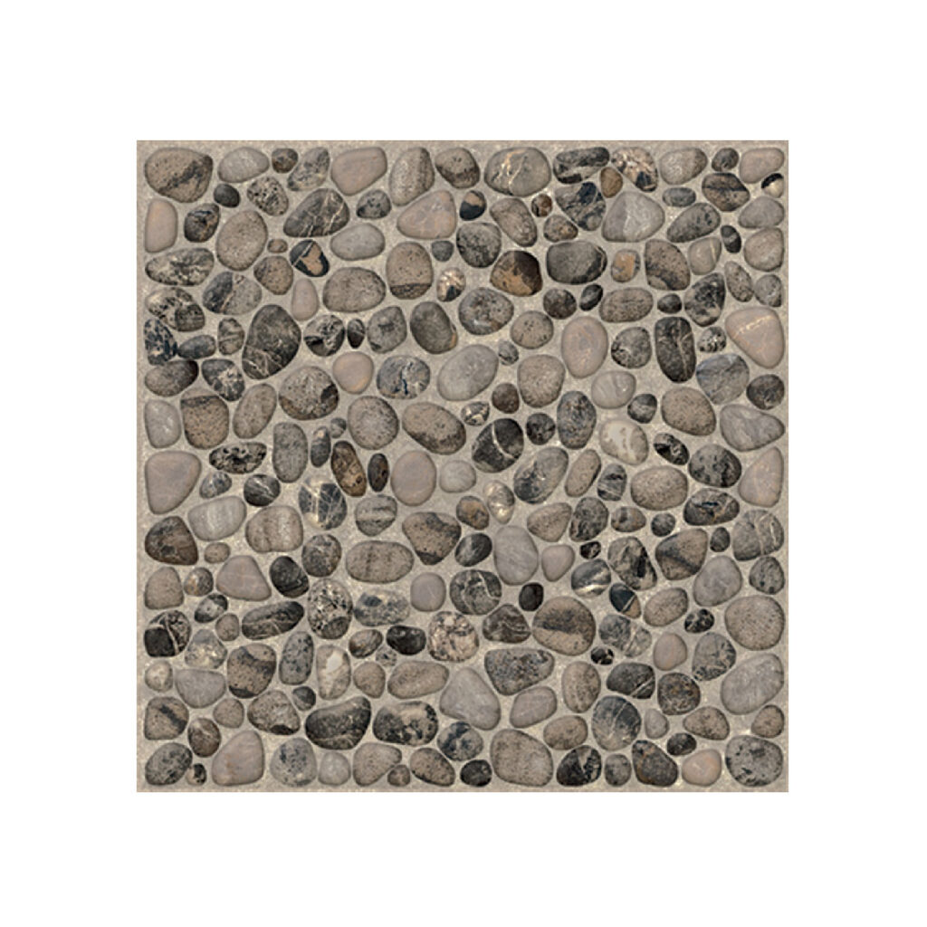 AMAZONAS – Hispacensa